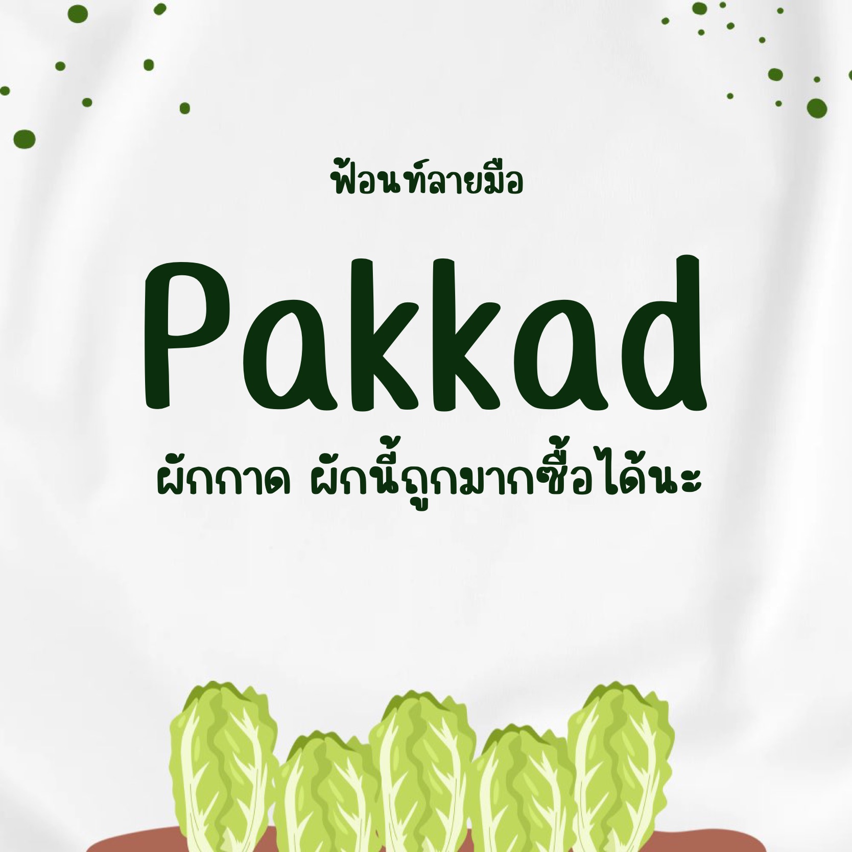 ผักกาด (Pakkad) » ฟอนต์.คอม